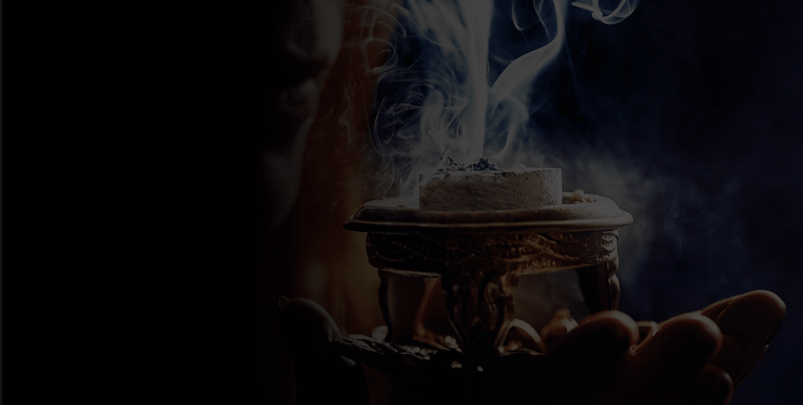 DARMEX – true oils, pure passion