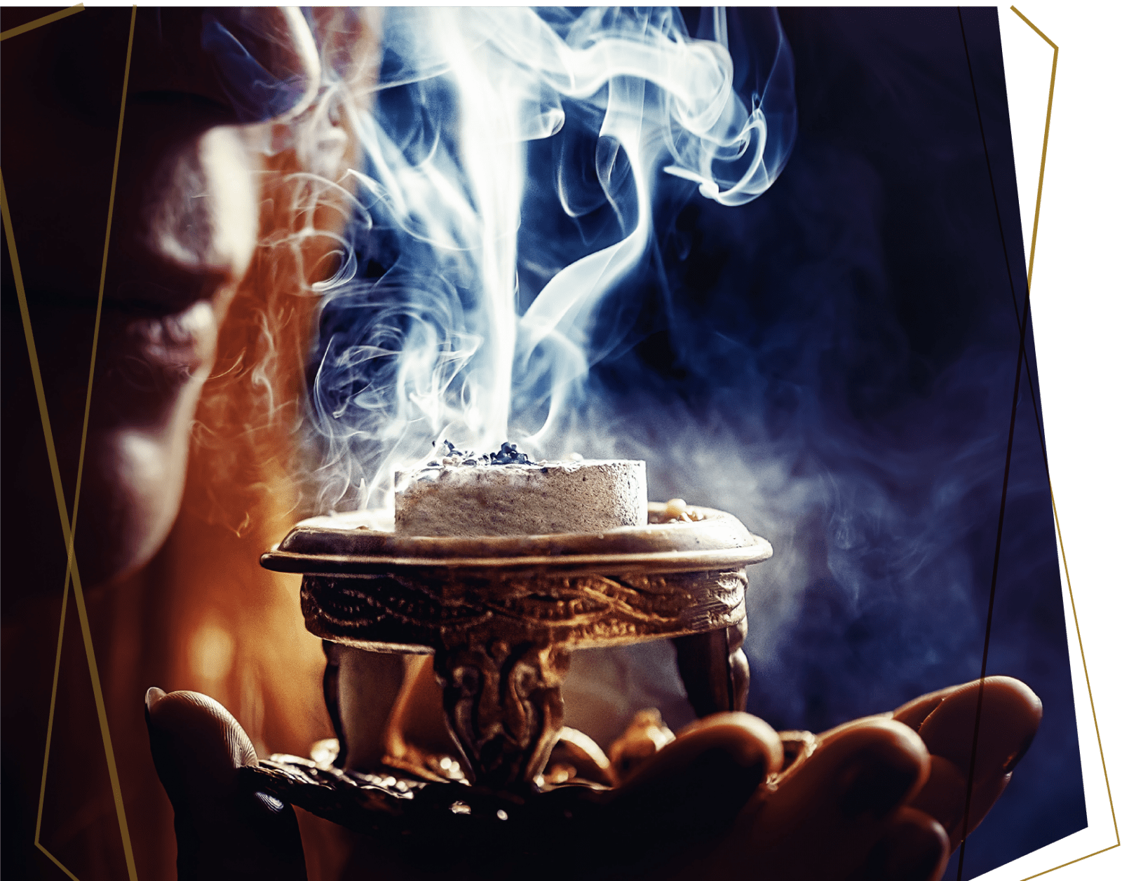 DARMEX – true oils, pure passion