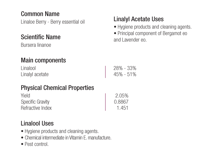DARMEX – true oils, pure passion