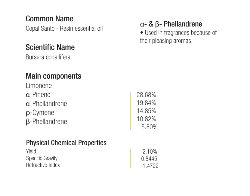 DARMEX – true oils, pure passion